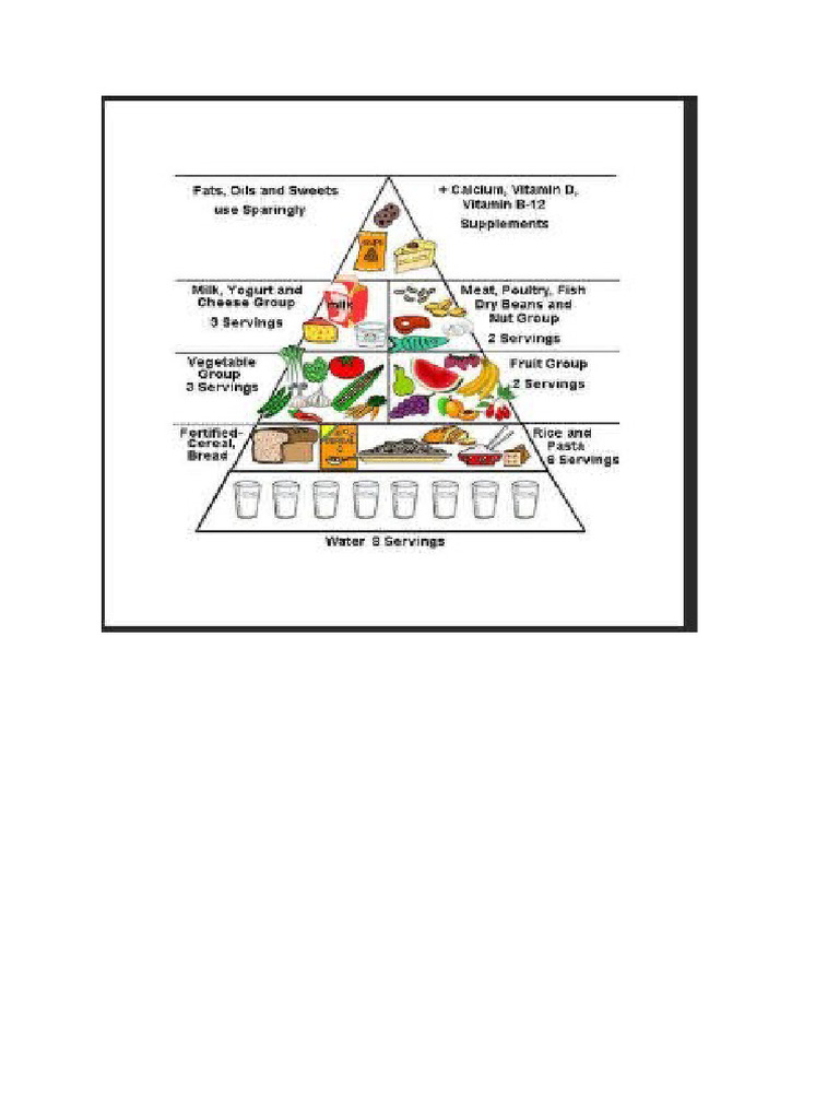 Food Pyramid | PDF