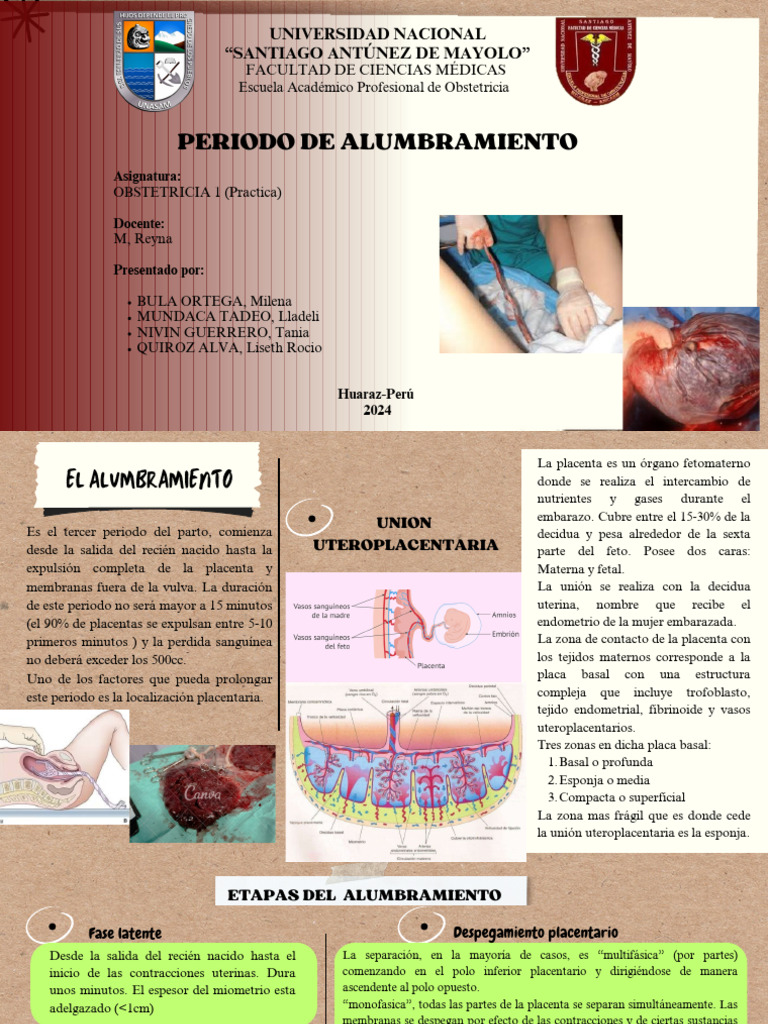 Alumbramiento | PDF | Parto | Placenta