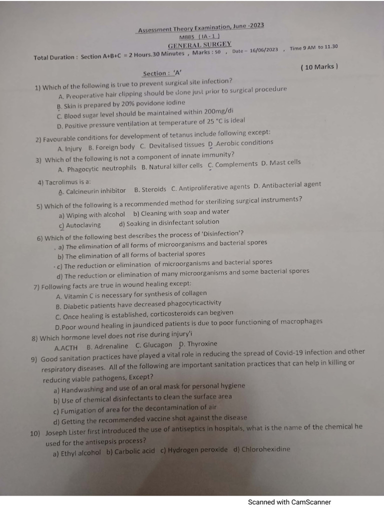 2019 Batch Final Papers | PDF