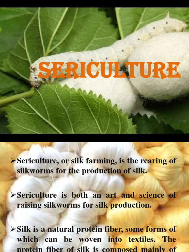 SERICULTURE | PDF | Silk | Pupa