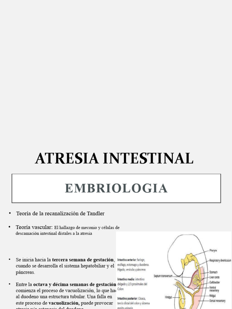Atresia Intestinal | PDF | Bilis | Medicina CLINICA