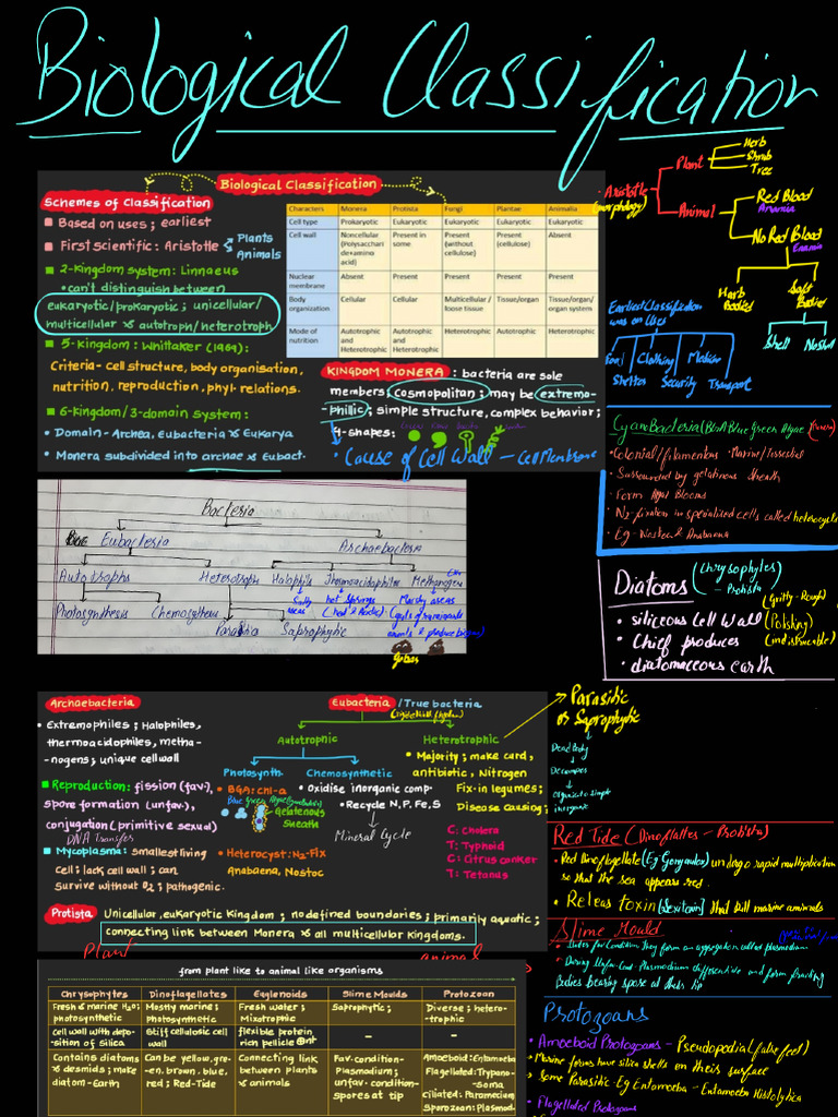 Biological Classification Ch2 - 231121 - 000748 | PDF