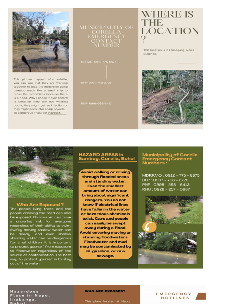 DRR Brochure | PDF
