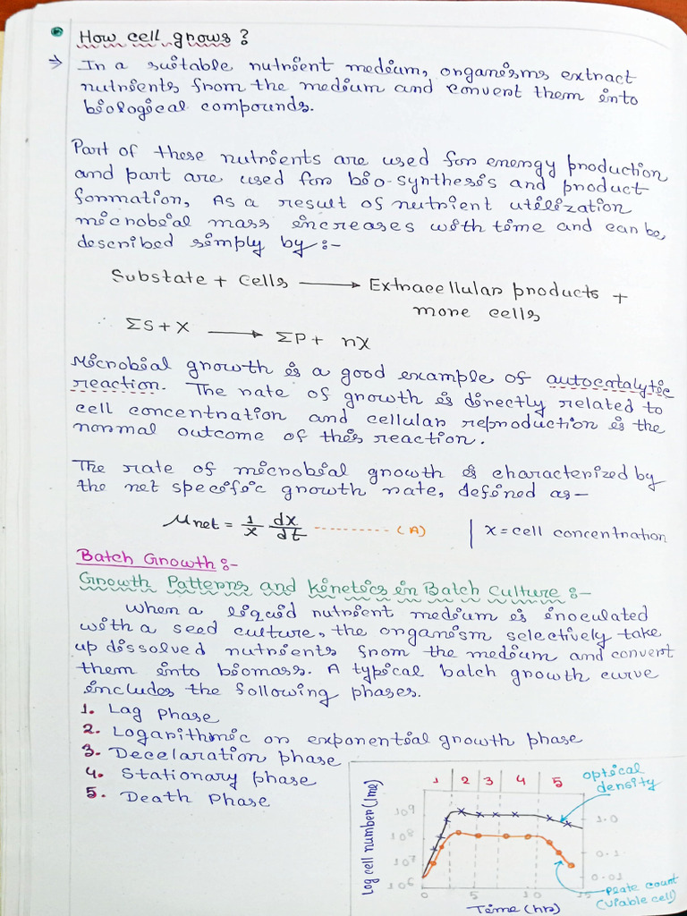 Bioprocess Notes By Me Pdf