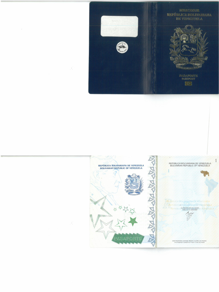 Pasaporte | PDF