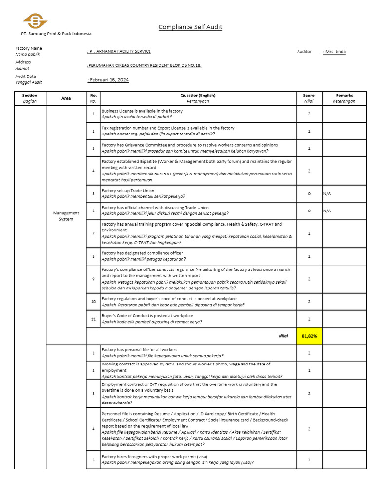 Internal Audit Social | PDF