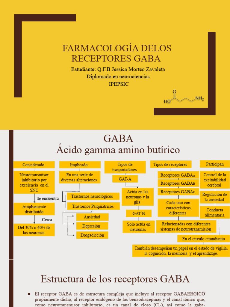 Farmacología Delos Receptores GABA | PDF | Sinapsis | Benzodiazepinas