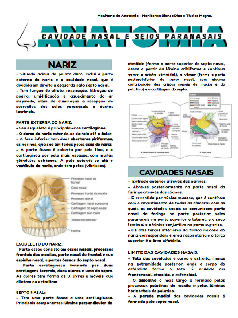 Anatomia Da Cavidade Nasal e Seios Paranasais | PDF Anatomia Da Cavidade Nasal e Seios Paranasais | PDF