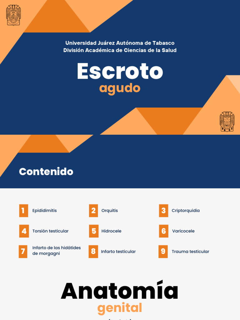 Escroto Agudo | PDF | Especialidades Medicas | Medicina CLINICA
