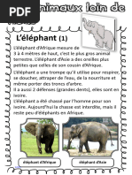 Les Éléphants | PDF | Éléphant | Zoologie