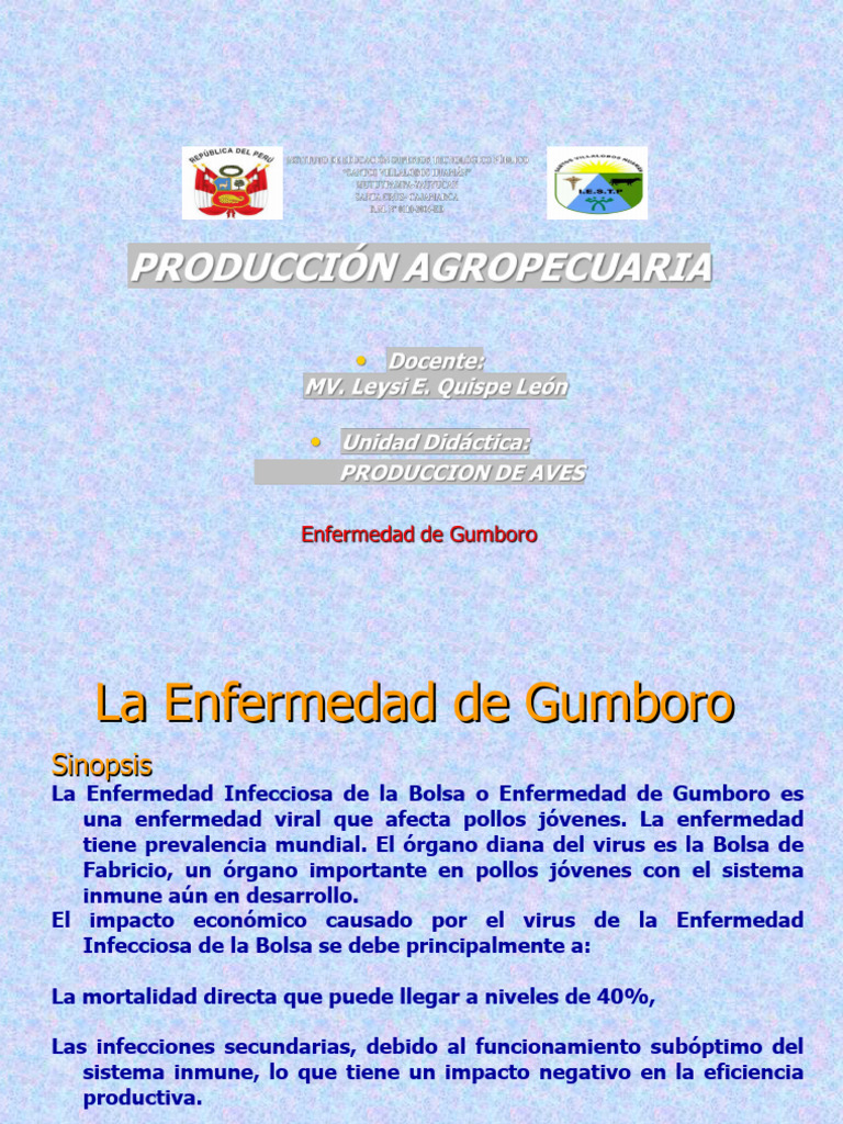 La Enfermedad de Gumboro | PDF | Virus | Salud pública