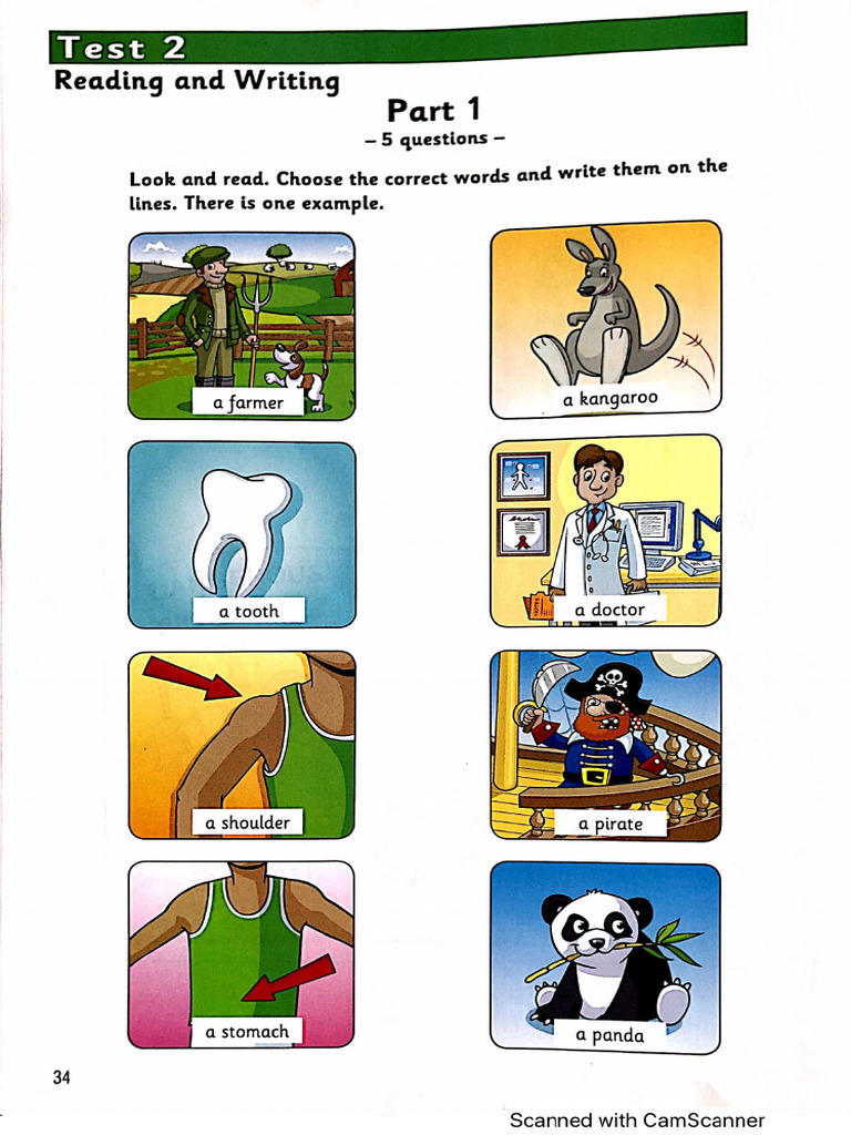 Movers 2 - Test 2 Reading Colur | PDF