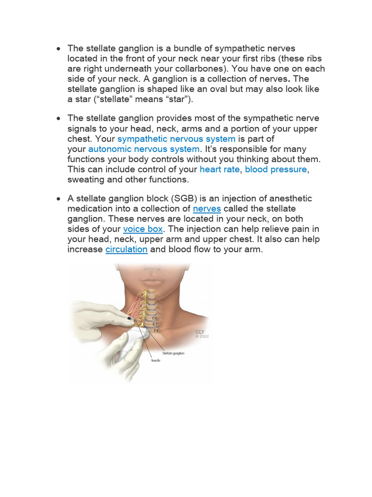 The stellate ganglion is a bundle of sympathetic nerves located in the ...