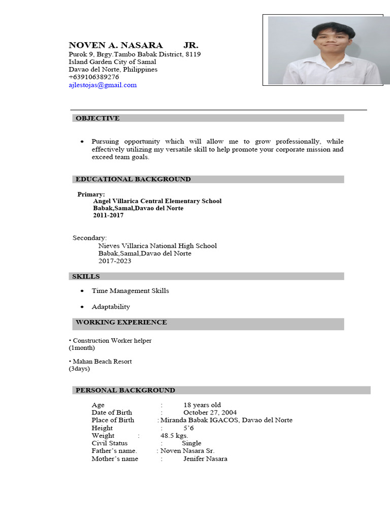 Resume-Sample-for-Work-Immersion | PDF