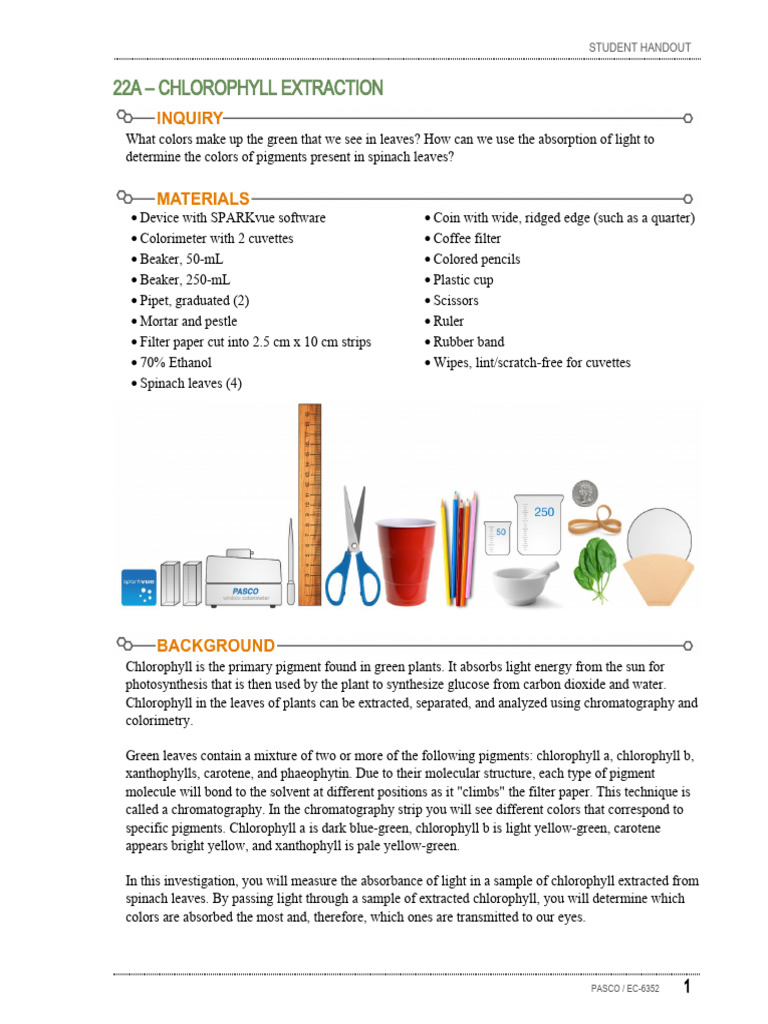 22A Chlorophyll Extraction | PDF | Chlorophyll | Photosynthesis