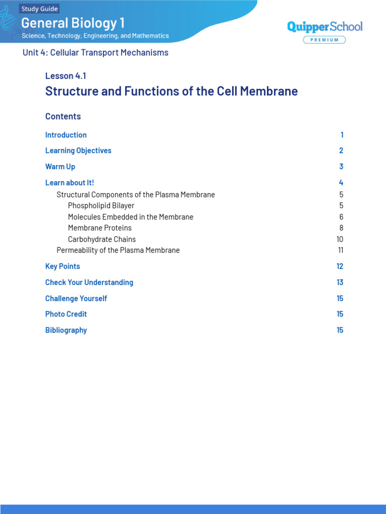 Structure and Functions of The Cell Membrane: Lesson 4.1 | PDF | Cell ...