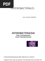 Gram Negative Rods: Oxidase Test | PDF | Gram Negative Bacteria ...