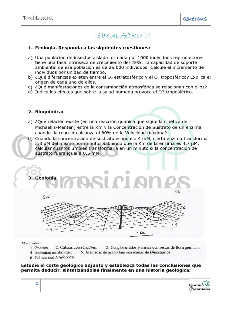 Simulacro 3 2021 ENUNCIADOS | PDF | Métodos y materiales de enseñanza ...