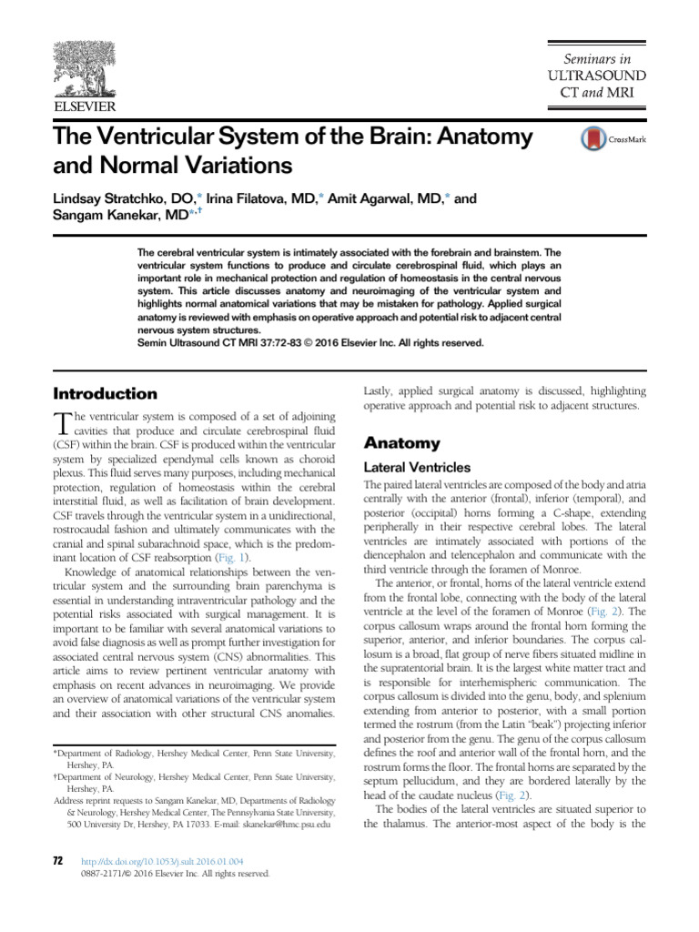 Variation of Brain Anatomy | PDF | Cerebrospinal Fluid | Neuroscience
