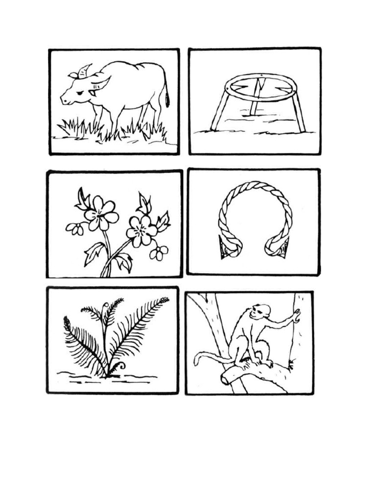 Frash Card HMO | PDF