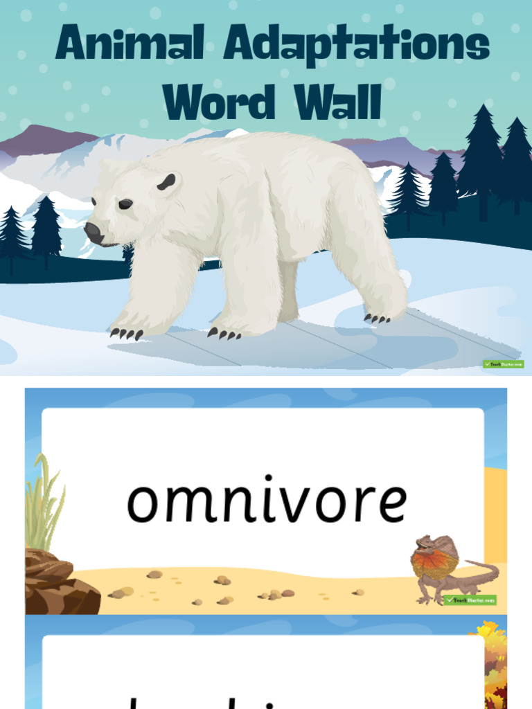 TeachStarter Plant and Animal Adaptations Word Wall Vocabulary 1708814 ...