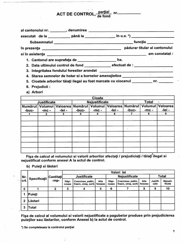Act de Inspectie Scurt | PDF