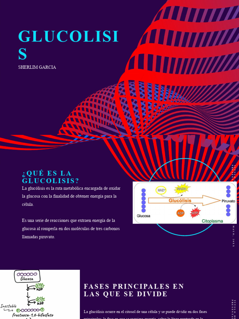 Glucólisis: Proceso y Fases Clave | PDF | Glucólisis | Trifosfato de ...