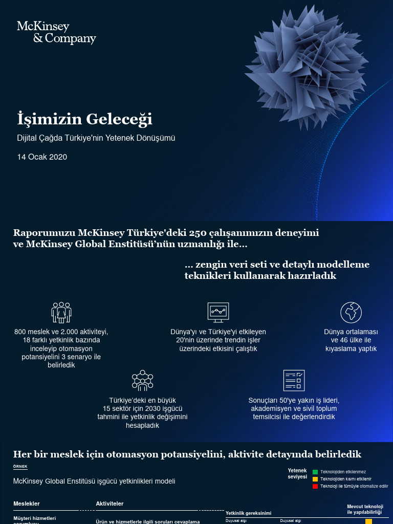 McKinsey Isimizi | PDF