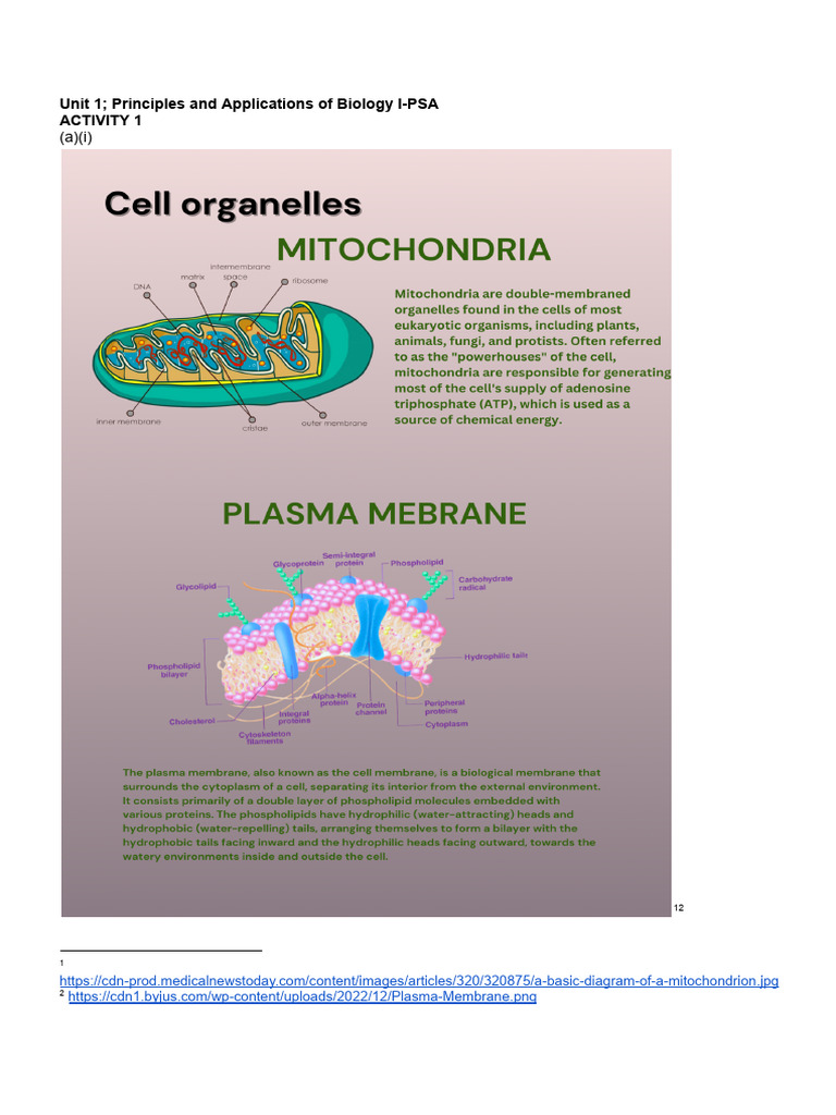 PSA - 1 Principes and Applications of Biology 1 Alex N | PDF ...