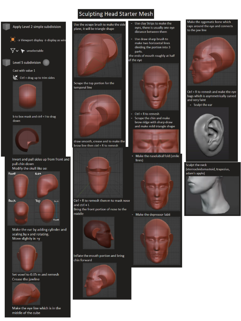 Sculpting Head Starter Mesh | PDF