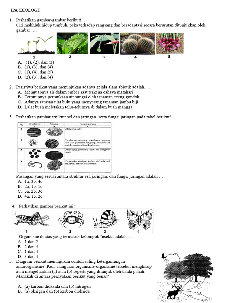 Latihan Soal Biologi | PDF