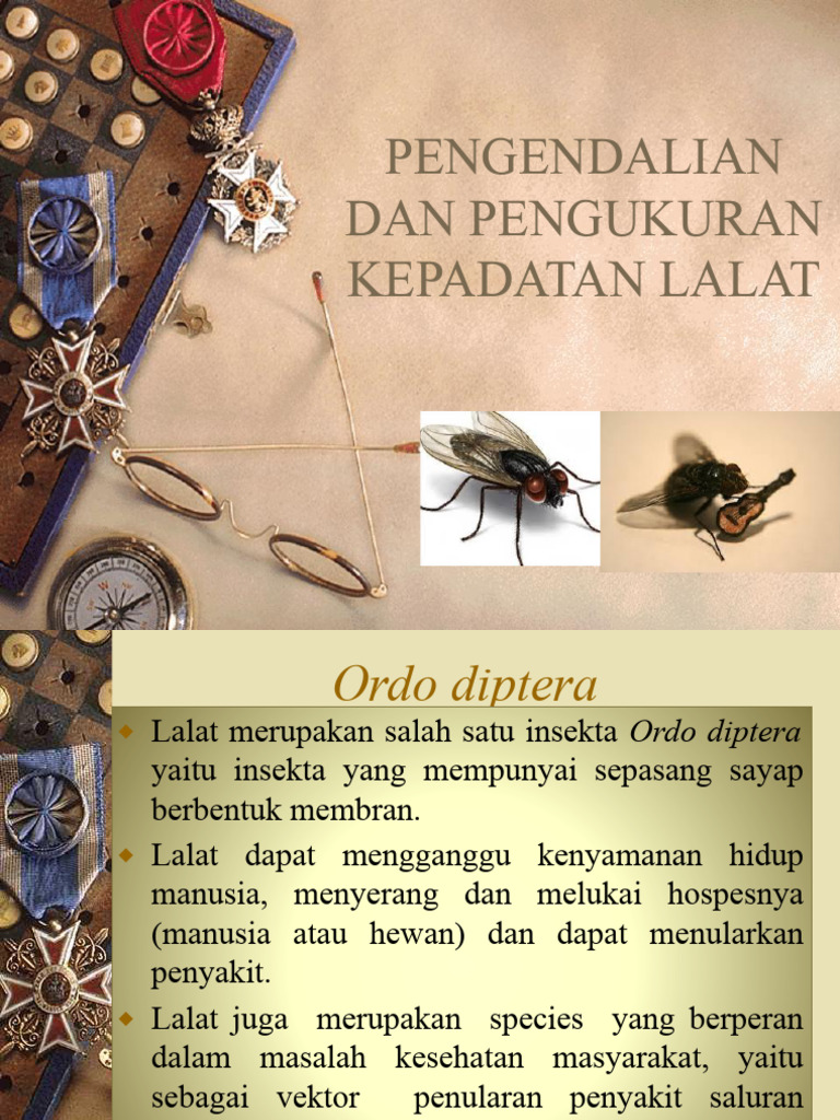 Pengendalian Vektor Lalat Penyakit | PDF | Sains & Matematika