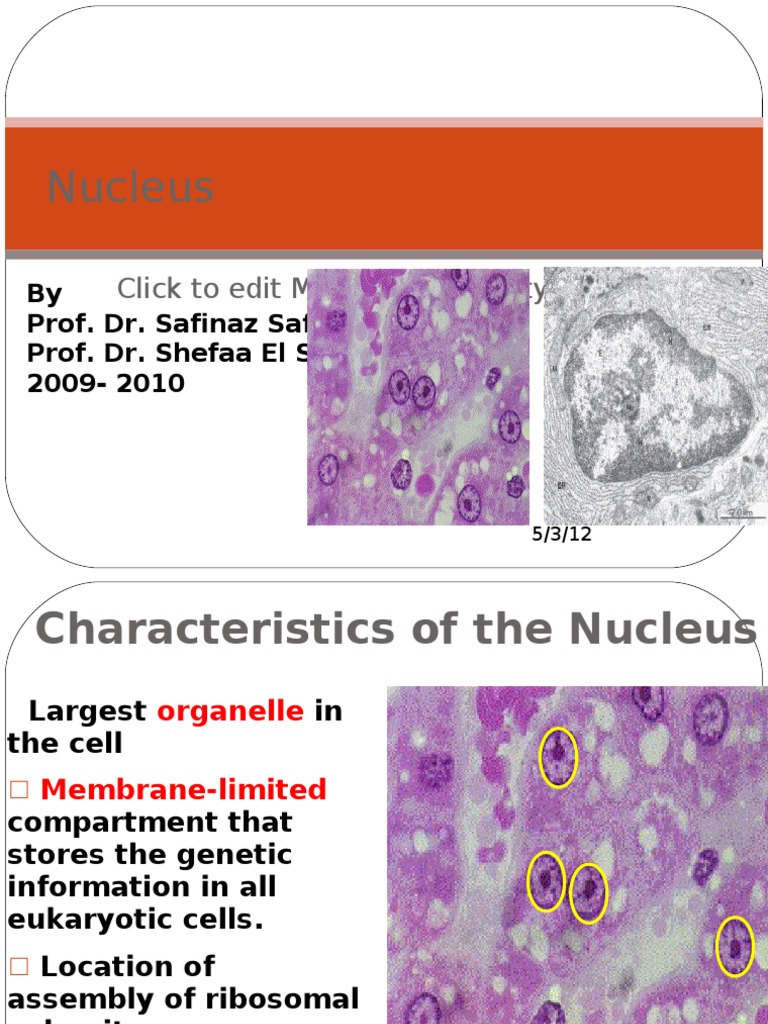 Nucleus: Click To Edit Master Subtitle Style | PDF | Cell Nucleus ...