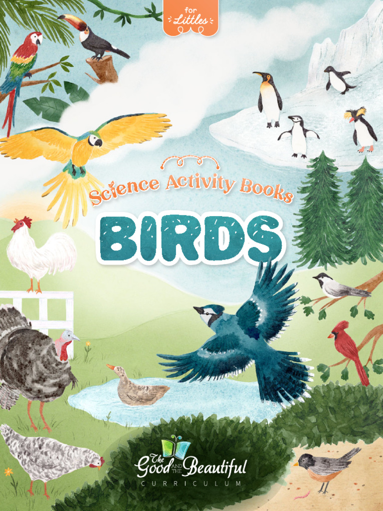 Science-Activity-Book Birds Sample | PDF