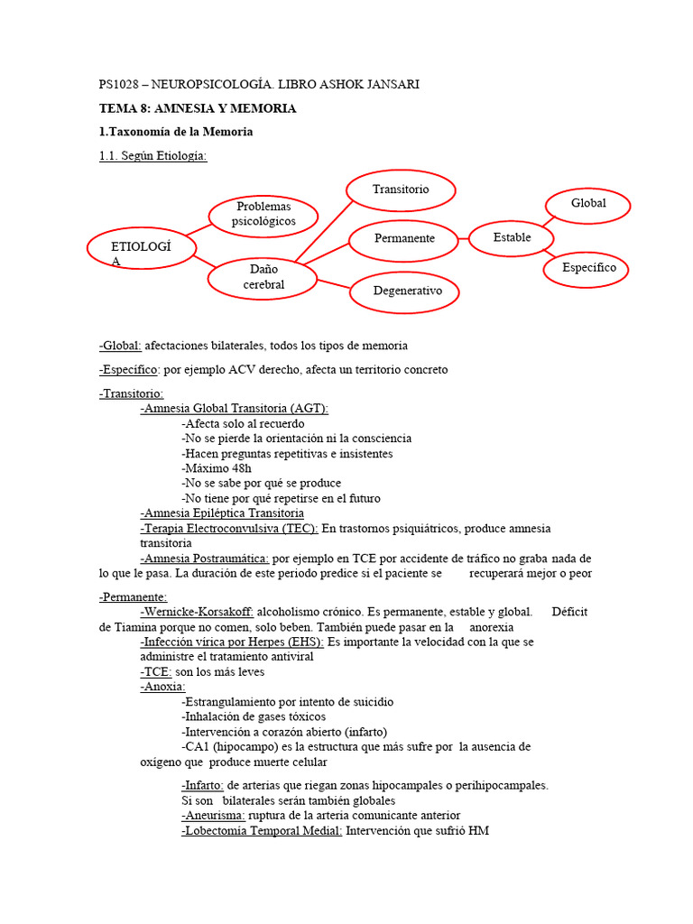 Tema 8 Amnesia Pdf Amnesia Memoria