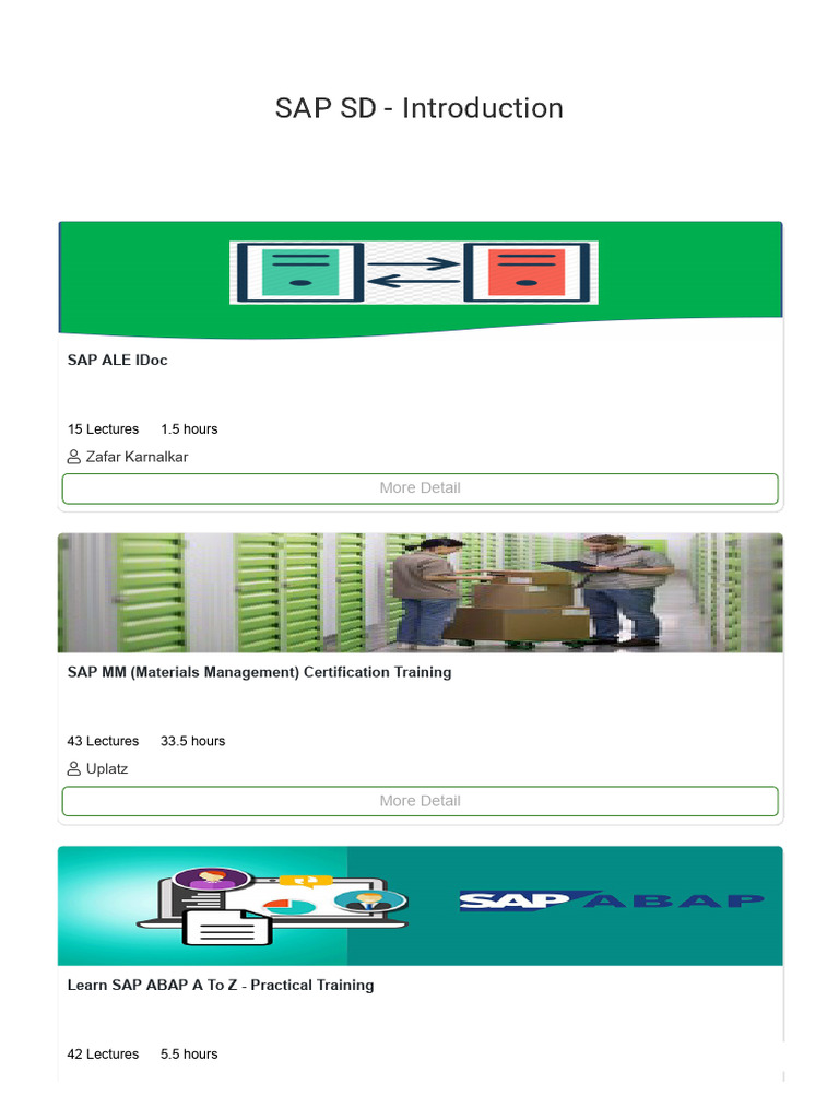 SAP SD - Introduction | PDF | Sales | Business Economics