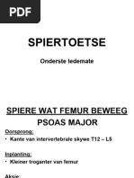 Anatomie Van de Heup | PDF