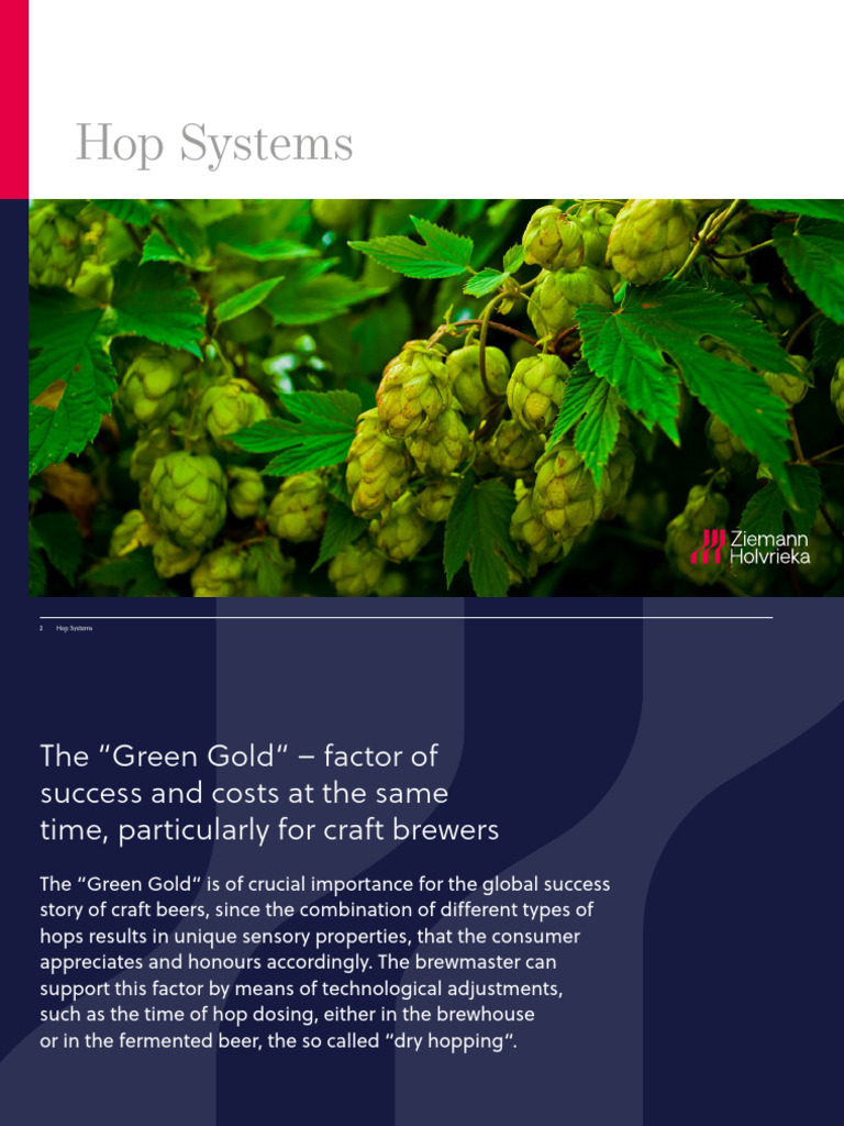 Hop Systems ENG Web | Download Free PDF | Brewing | Hops