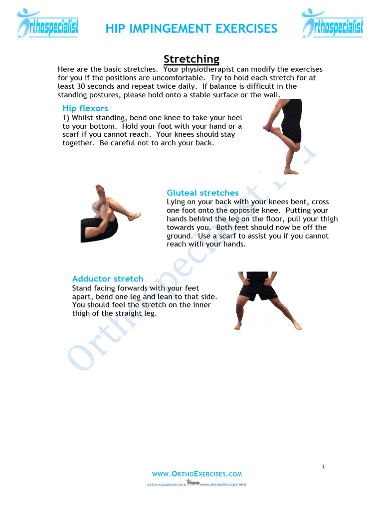 hip-impingement-exercises | Download Free PDF | Foot | Anatomical Terms ...