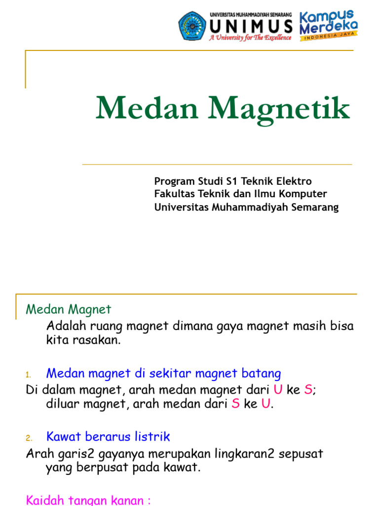 Medan Magnet | PDF