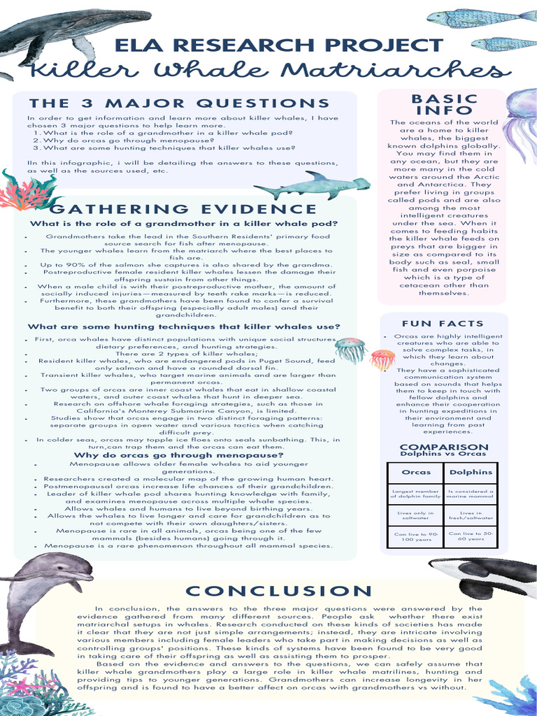 ELA research project (1) | PDF | Whales | Cetacea