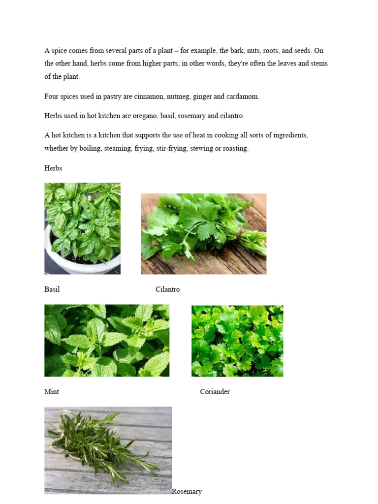 Spice and Herb Plant Parts Explained | PDF