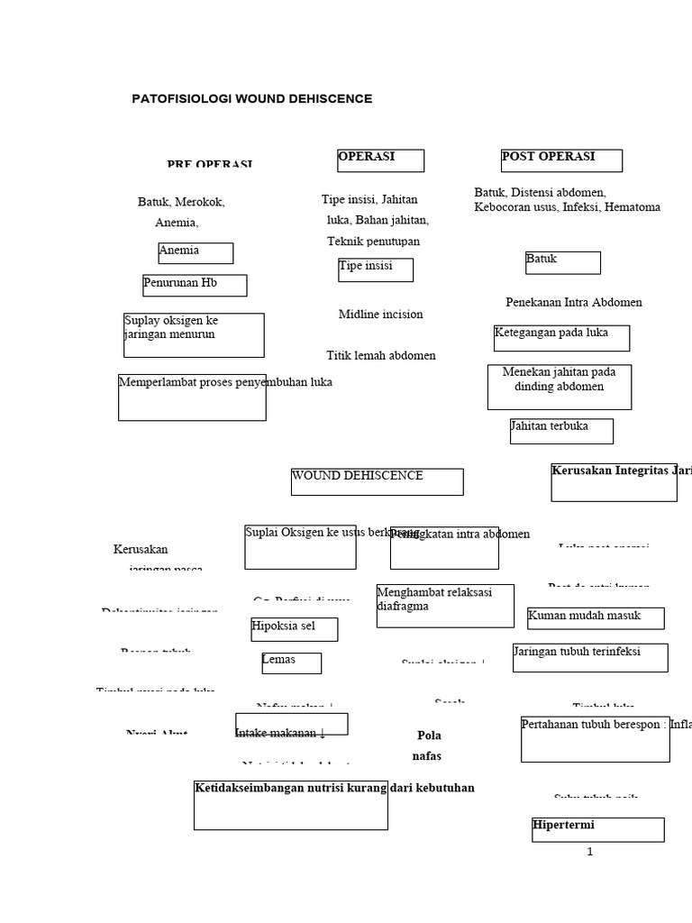 Wound Dehi Patofis Benny | PDF