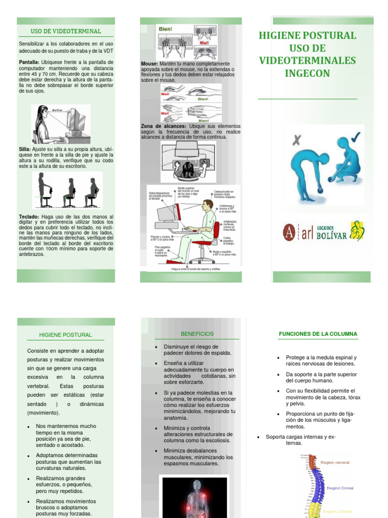 Folleto Higiene Postural - VDT | PDF | La columna vertebral | Dolor lumbar