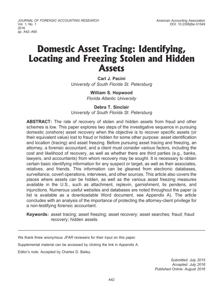 Domestic Asset Tracing: Identifying, Locating and Freezing Stolen and ...