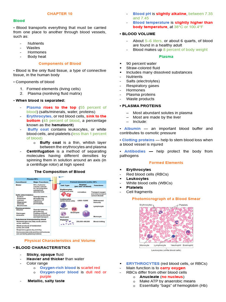 CHAPTER 10 BLOOD (Pretest) | PDF | White Blood Cell | Blood Type