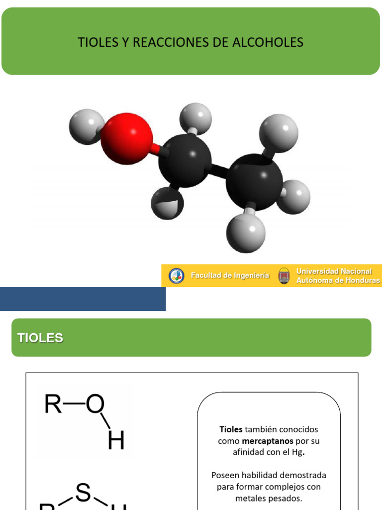 QQ323 Tioles y Reacciones de Alcoholes | PDF | Tiol | Compuestos de hidrógeno