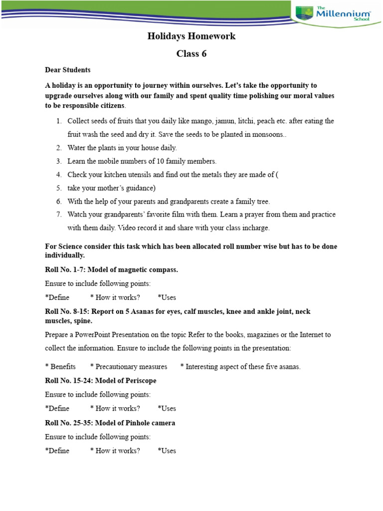 Holidays Homework Class 6 | PDF