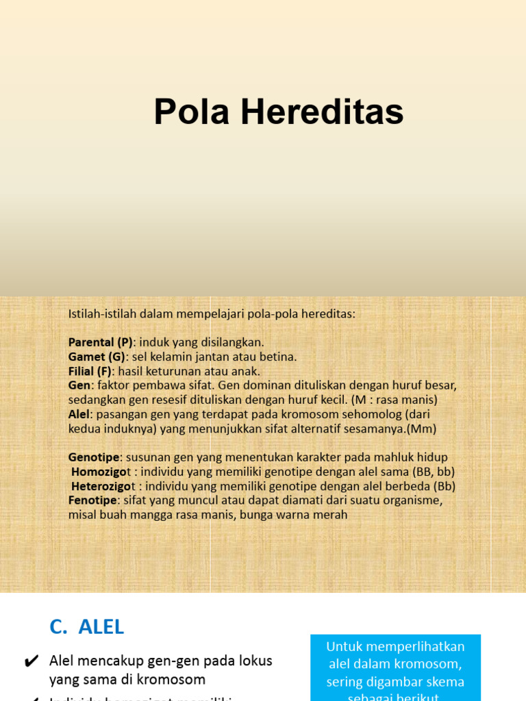 Pola Pola Hereditas 12 A | PDF