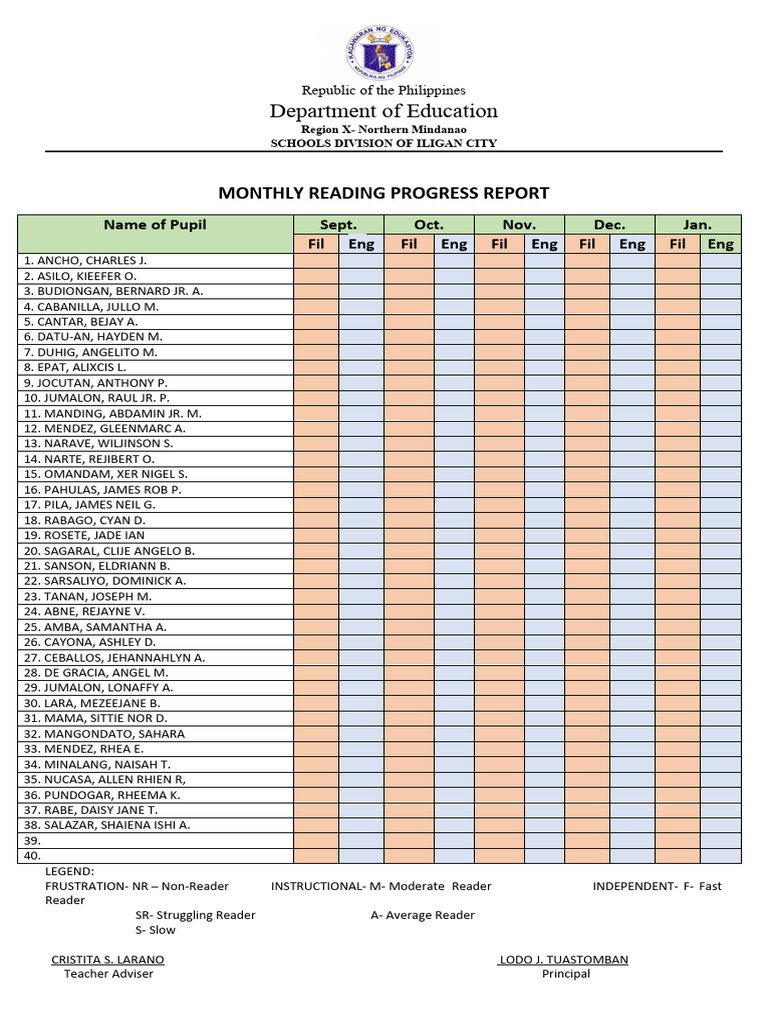 Iligan City Monthly Reading Report | PDF